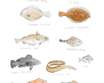 Block Island Sharks Print - Etsy UK