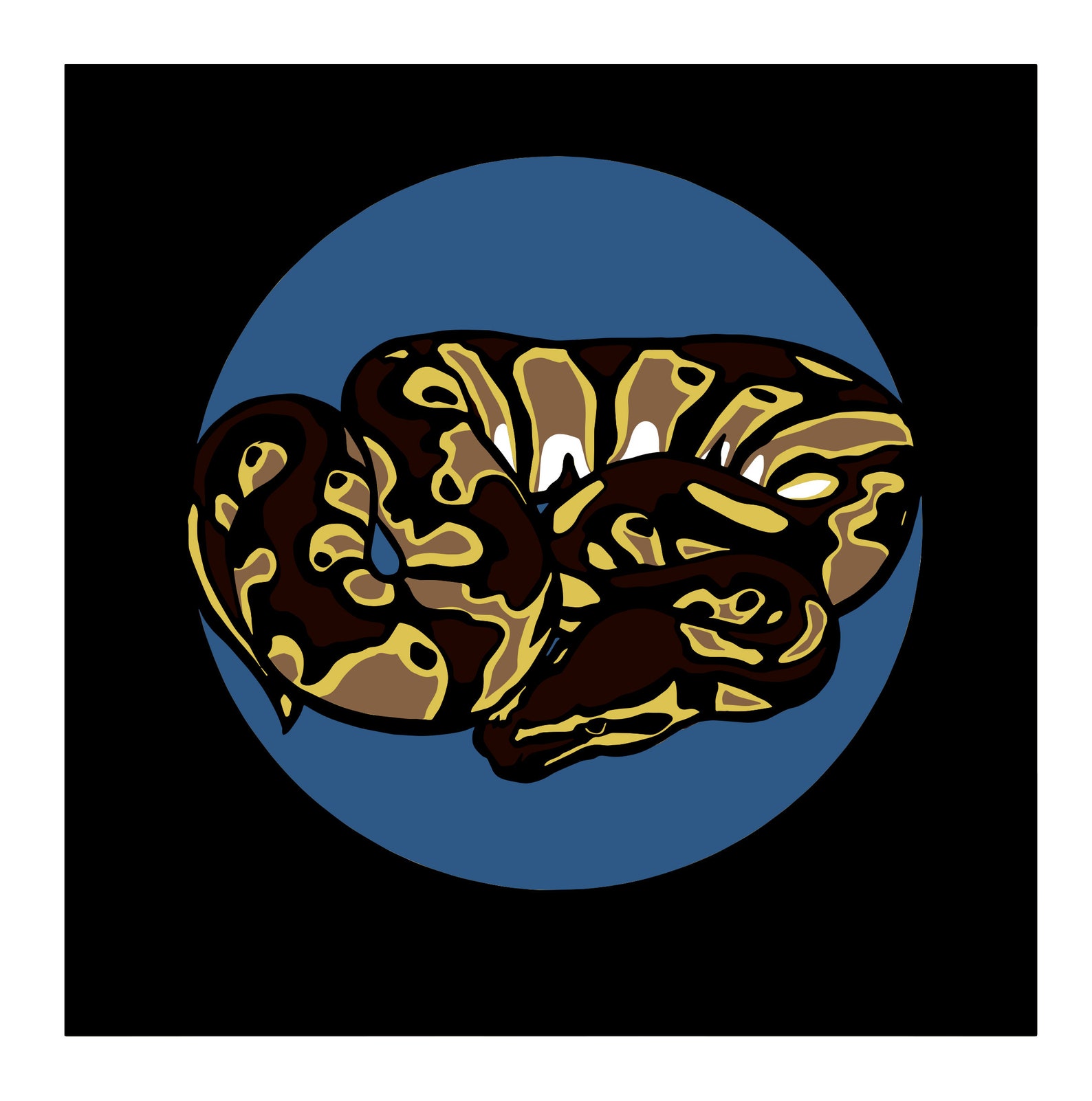 Baby Ball Python SVG 3D Layered Reptile SVG African Snake SVG - Etsy