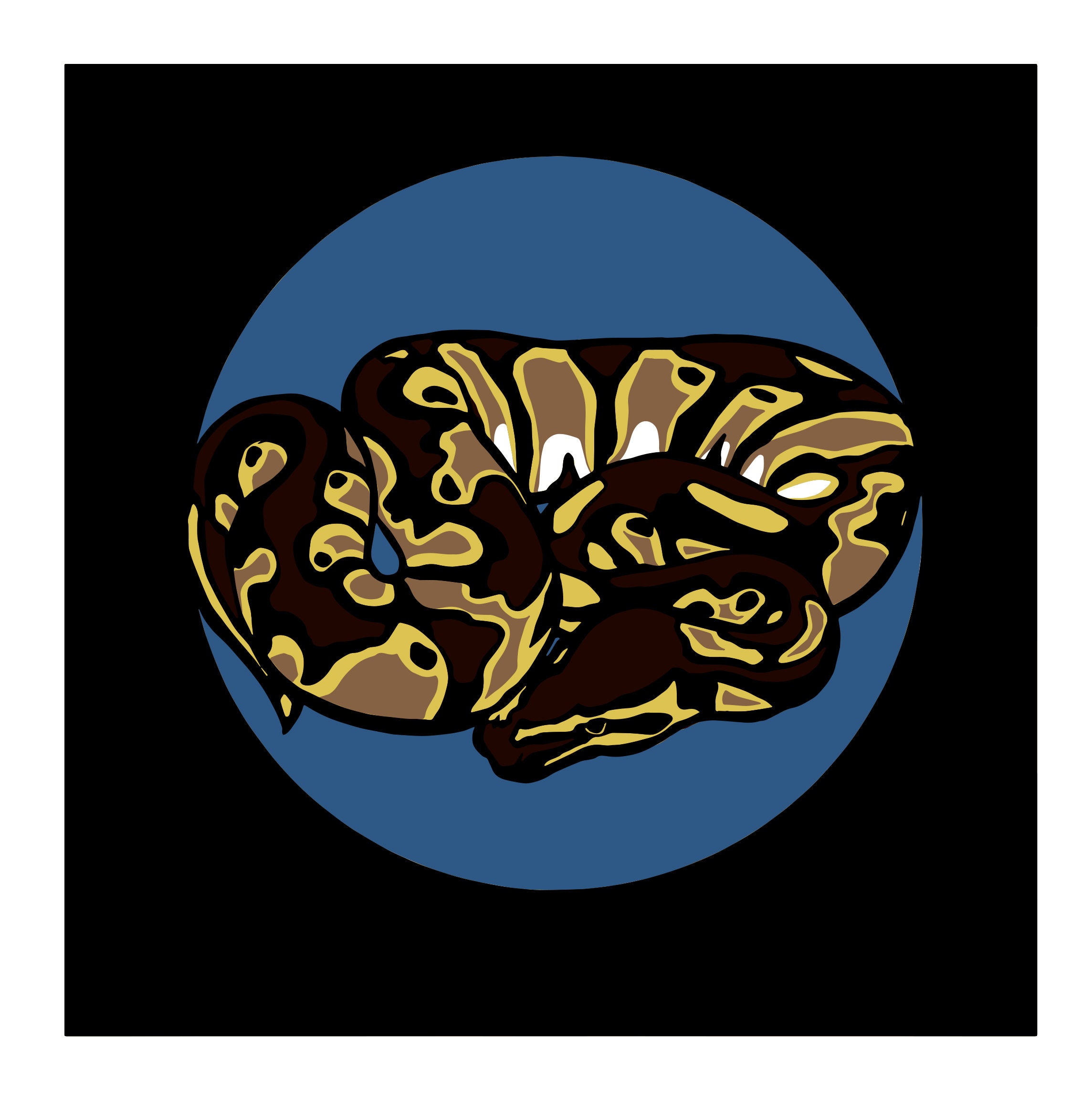 Baby Ball Python SVG 3D Layered Reptile SVG African Snake SVG - Etsy
