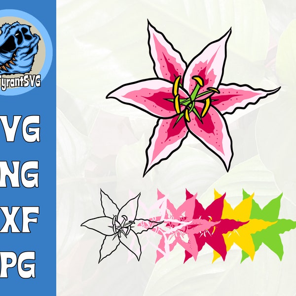 Stargazer Lily - Etsy