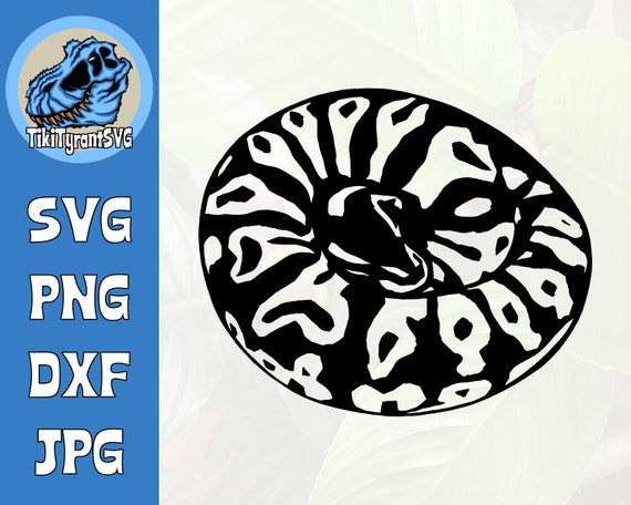 Ball Python SVG Python SVG Snake SVG - Etsy India