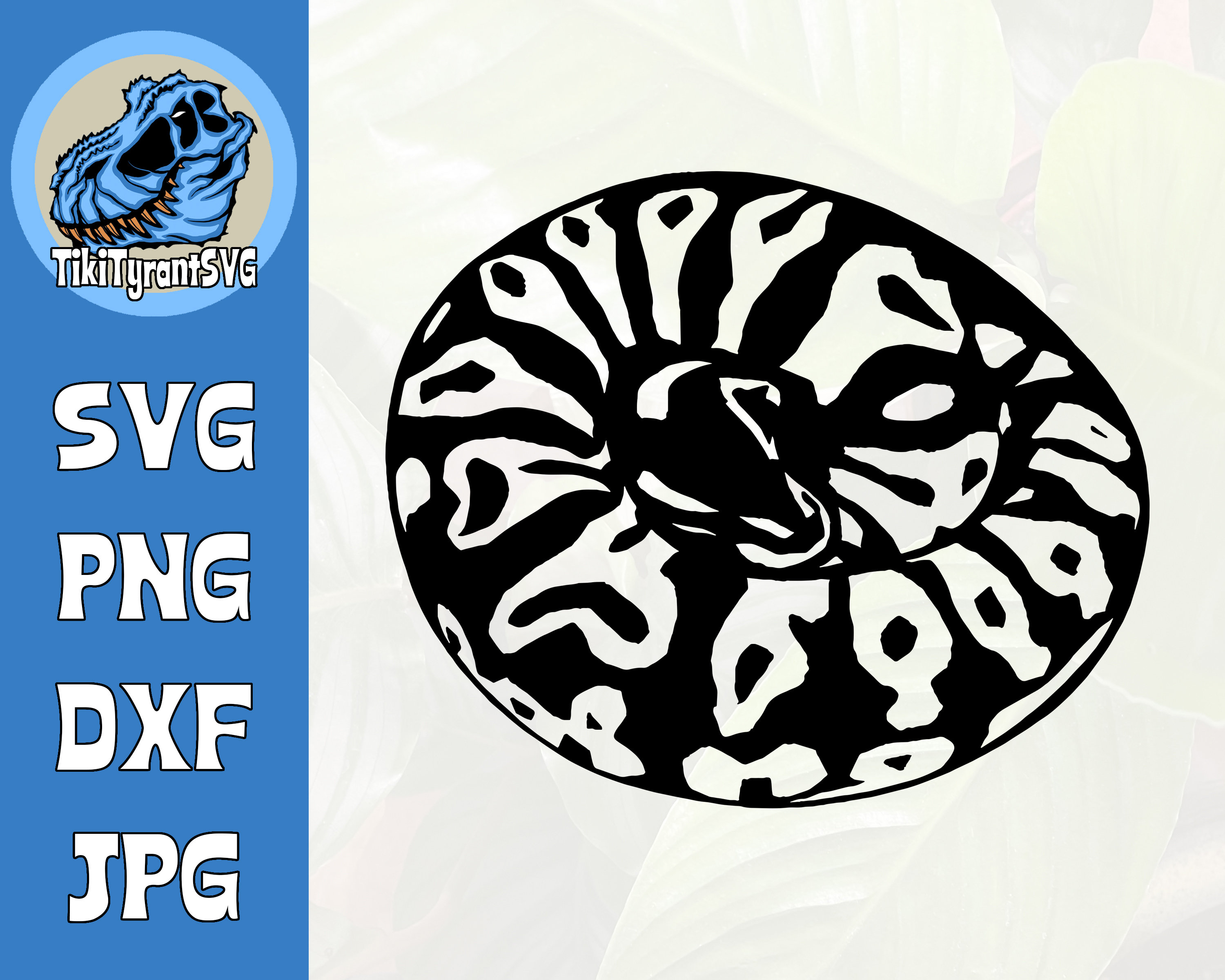 Ball Python SVG Ball Python SVG