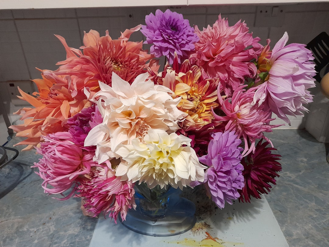 SOLD Neiger Flowers Czech Filigree Brooch Edwardian Blue - Etsy UK