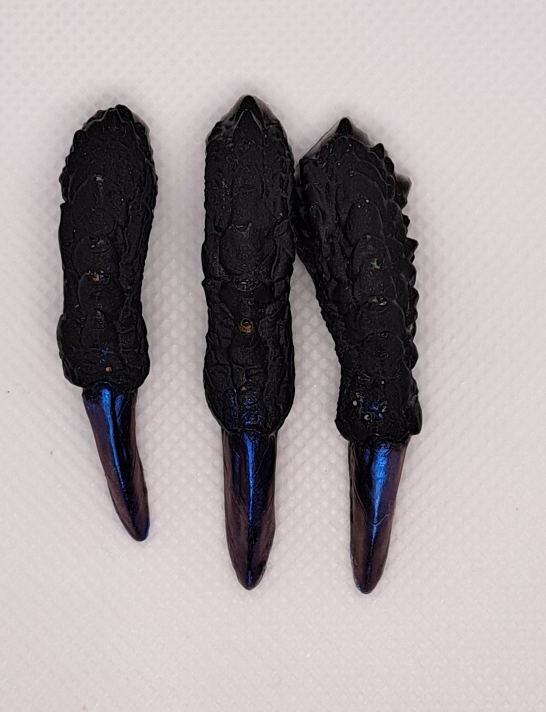 Dragon Toes Refrigerator Magnets. Sets of Three. - Etsy