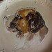 Antique Moseley Ware Hand Painted Dog Plate Victorian Wall Hanging ...