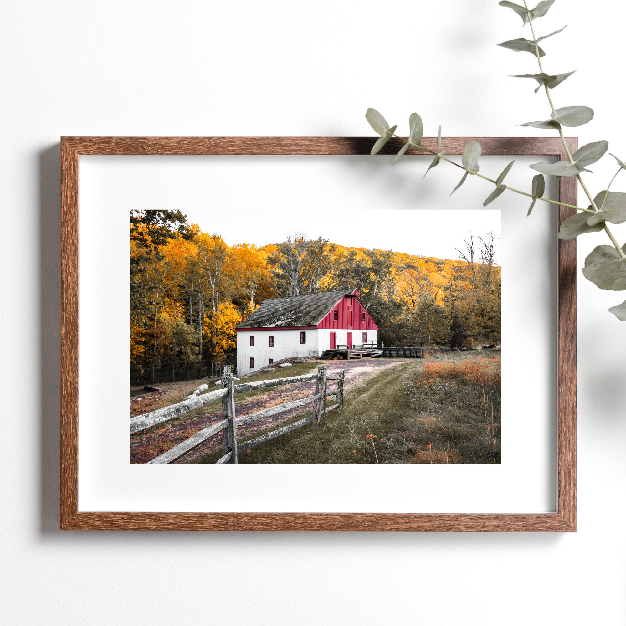 Rustic Barn Photography Print, Bucks County Pennsylvania Photography ...
