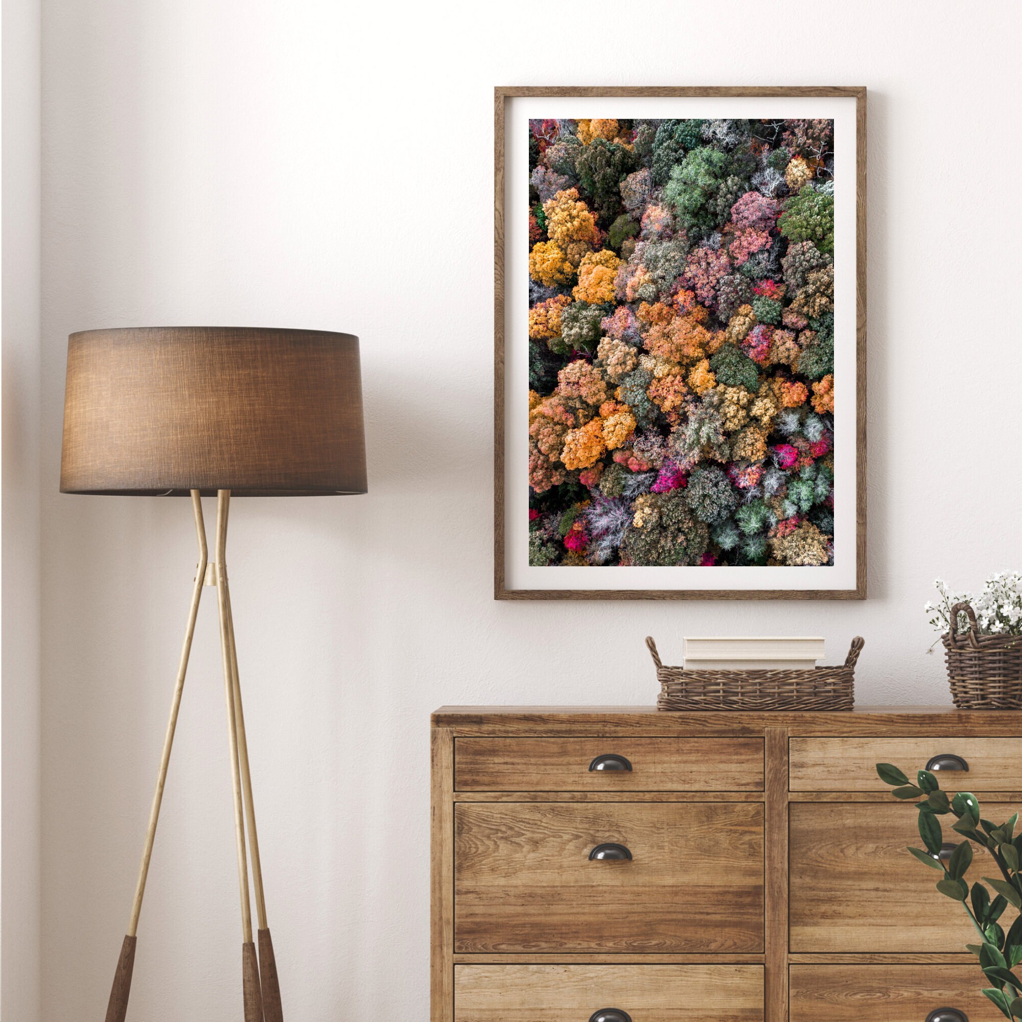 Colorful Forest Trees Wall Photo, Autumn Woodland, Photography Wall Art ...