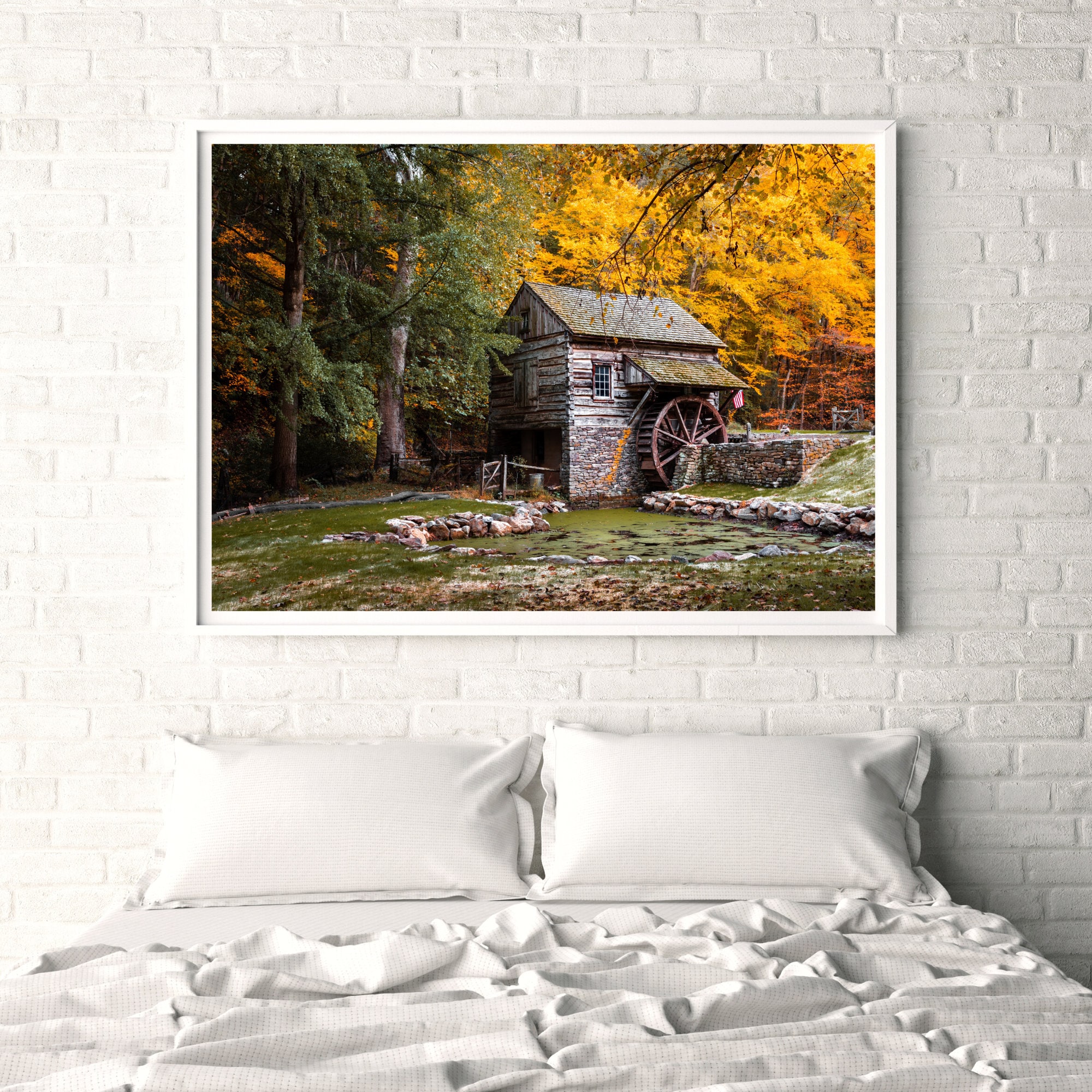 Cuttalossa Farm Fall Foliage Wall Print, Country Landscape Photo, Bucks ...