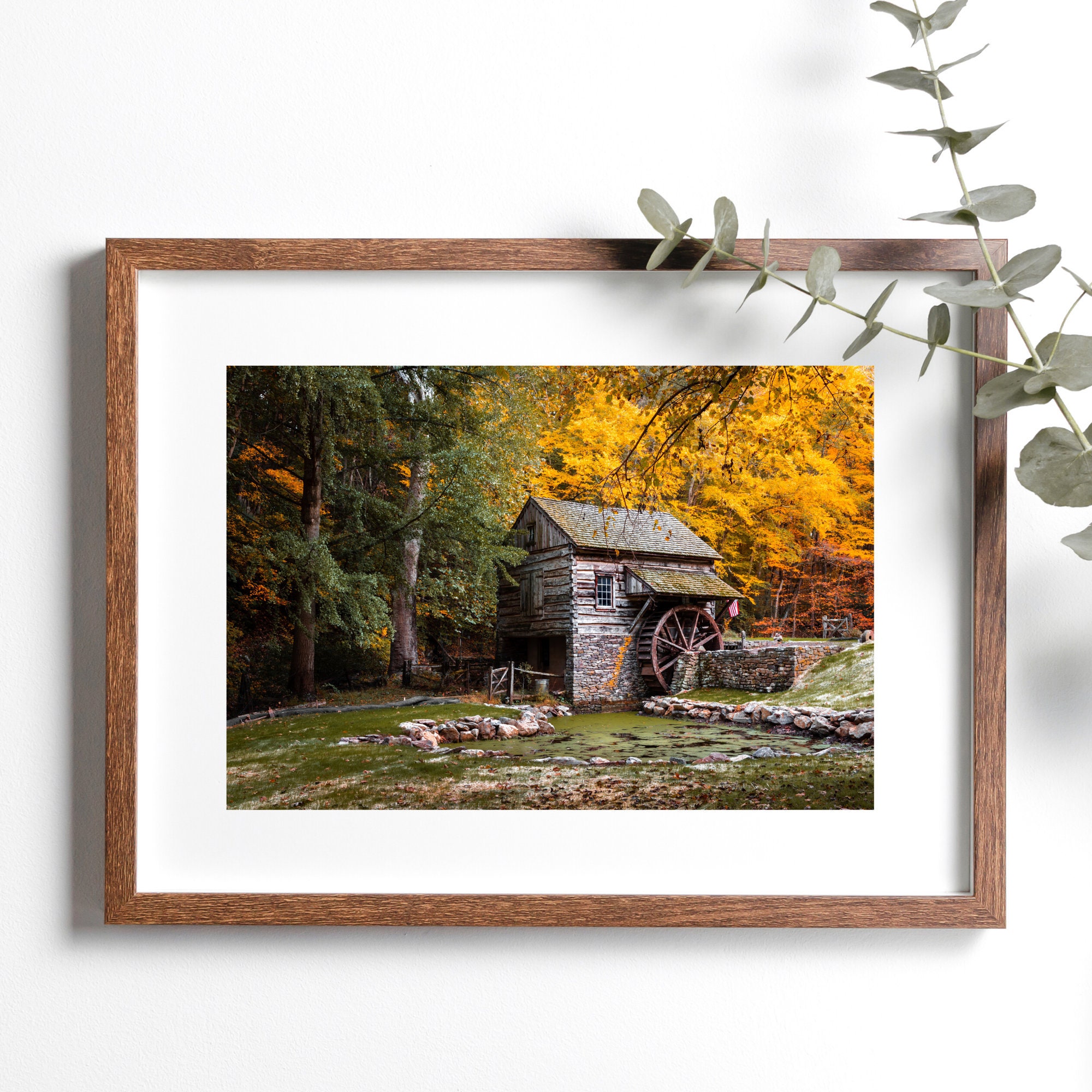 Cuttalossa Farm Fall Foliage Wall Print, Country Landscape Photo, Bucks ...