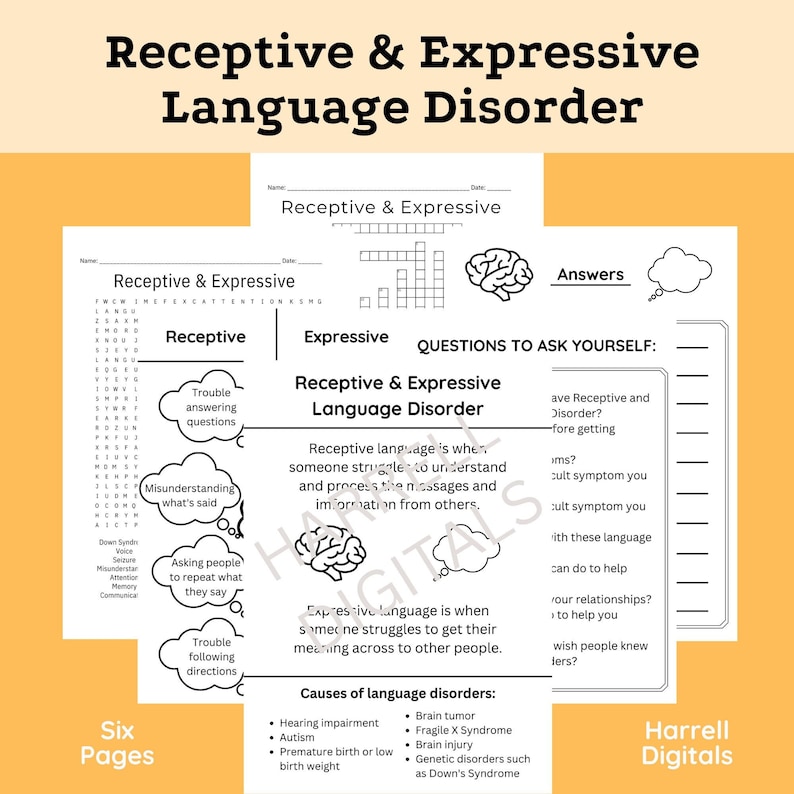 Receptive and Expressive Language Disorder Worksheets, Workbook Study ...