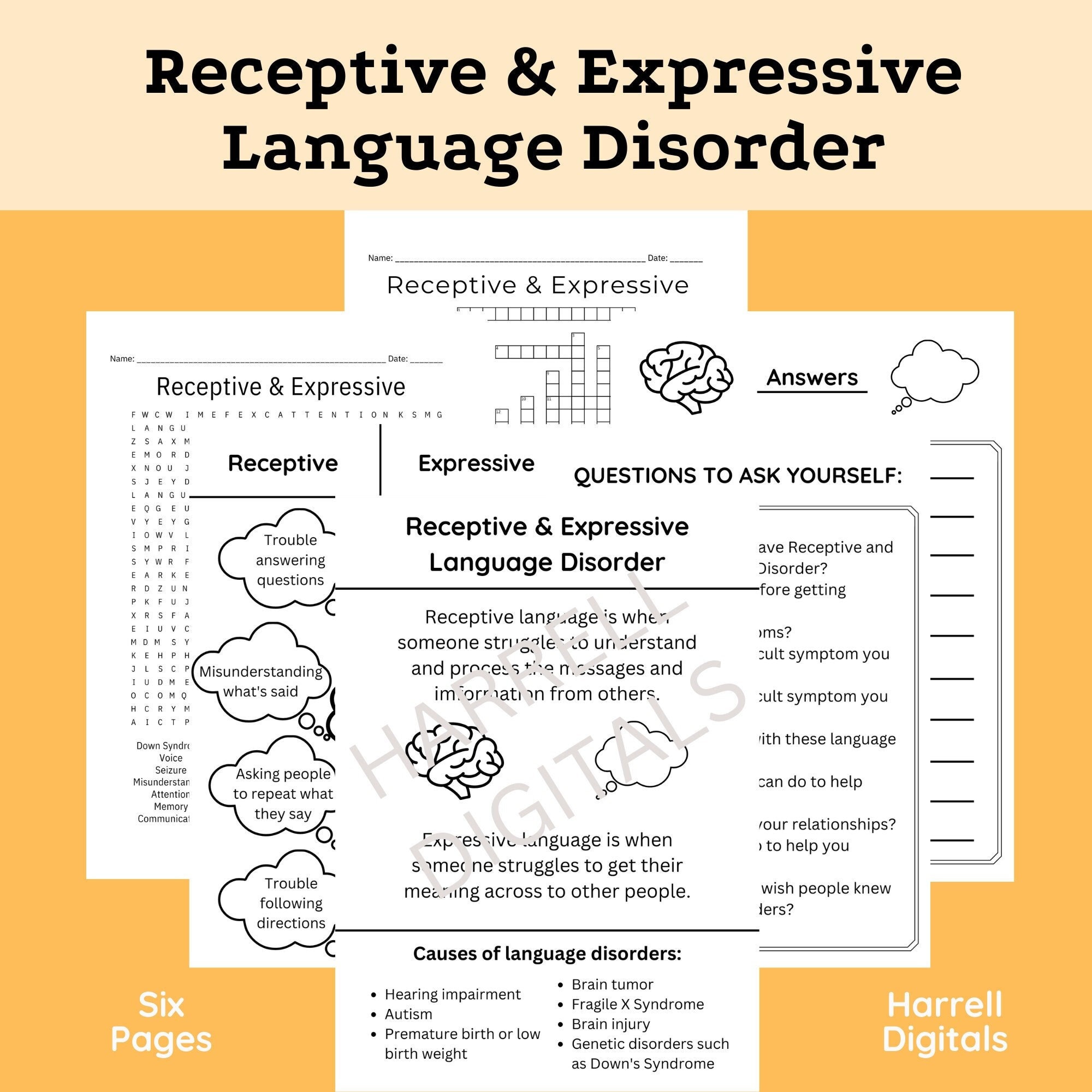 Receptive and Expressive Language Disorder Worksheets, Workbook Study ...
