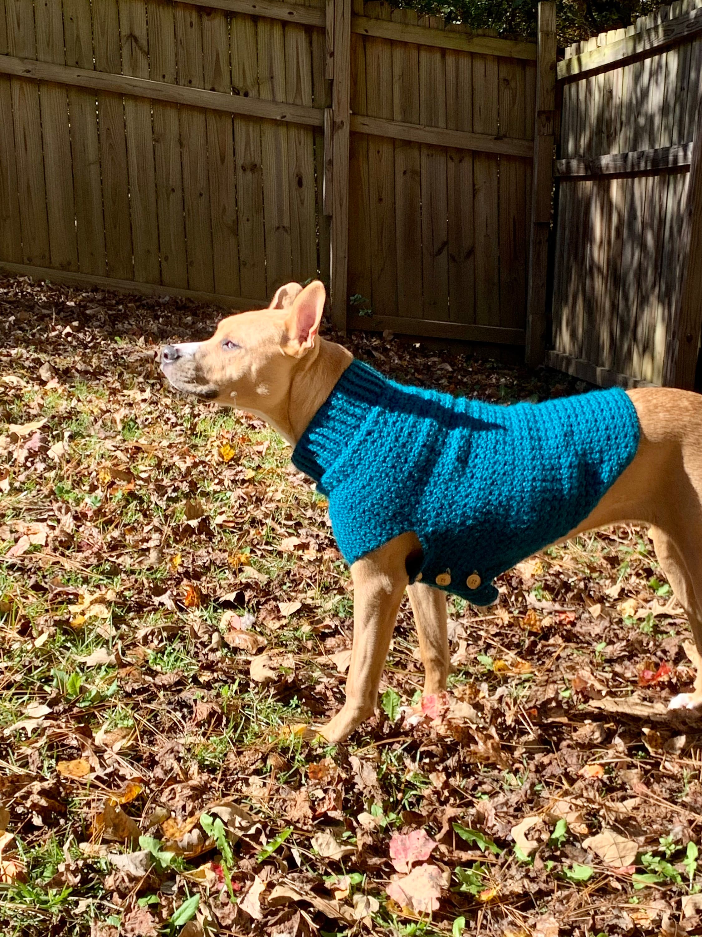 Sweater for Large Dogs - Handmade Crochet - Etsy