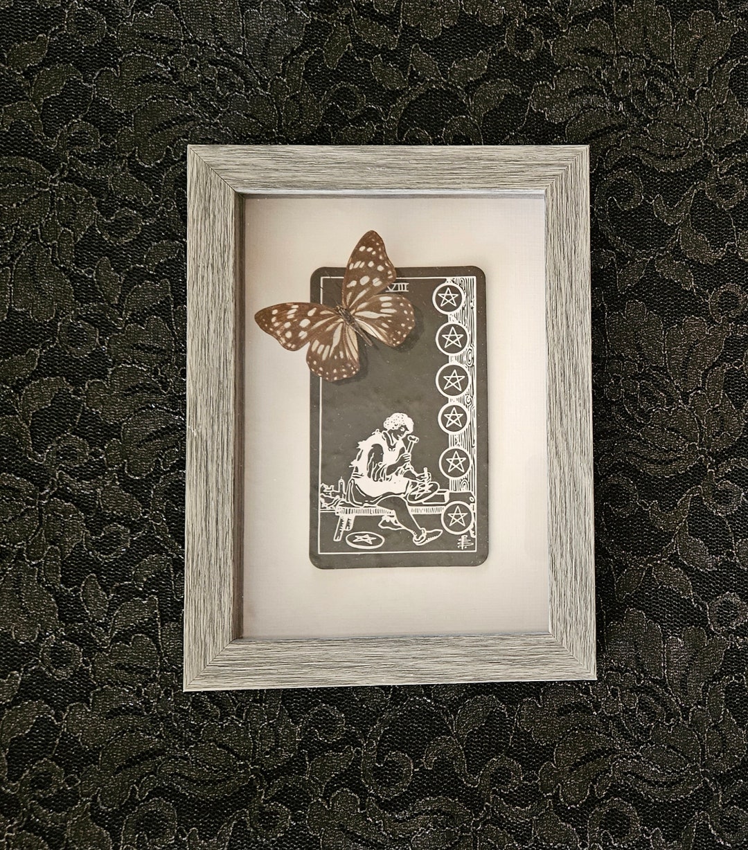Black and White Danaus Ismare Butterfly on the Eight of Pentacles Tarot ...