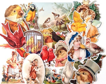 Vintage Bird Stickers - Etsy