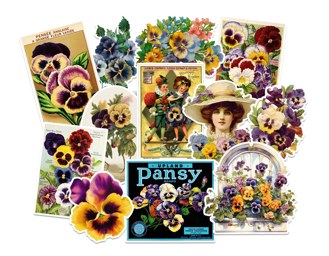 Vintage Pansy Flower Sticker Pack. Floral Junk Journal, Victorian ...