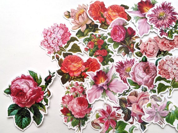 Vintage Pink Flower Sticker Pack. Vintage Stickers Antique - Etsy