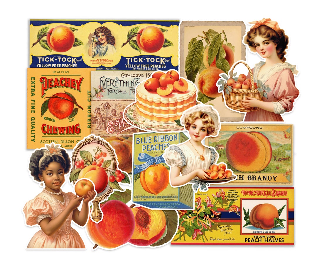 Vintage Peach Sticker Pack Fruit Ephemera Junk Journal Supplies Laptop ...