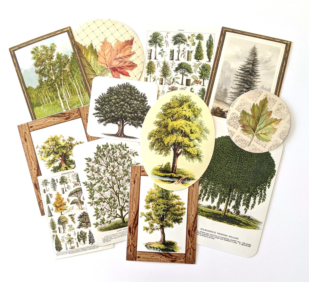 Vintage Tree Stickers Pack. Handmade Stickers, Nature Stickers, Plant ...