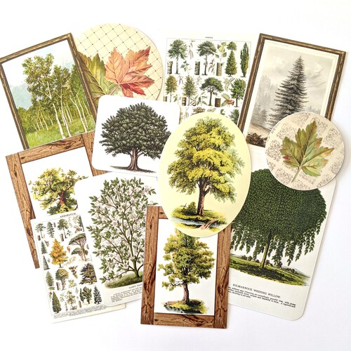 50 Cute Pink Vsco Stickers Pack Cartoon INS Aesthetic Sticker - Etsy