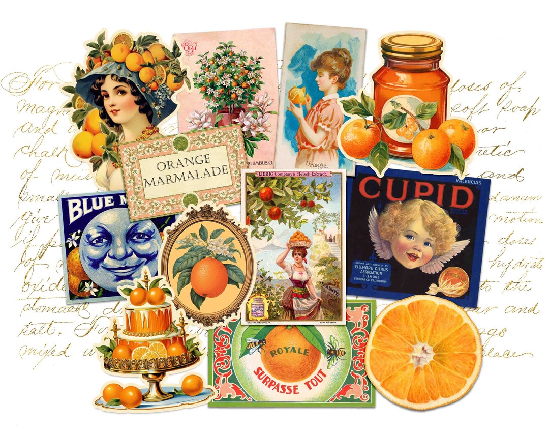 Vintage Orange Sticker Pack Fruit Ephemera Junk Journal Supplies Laptop ...