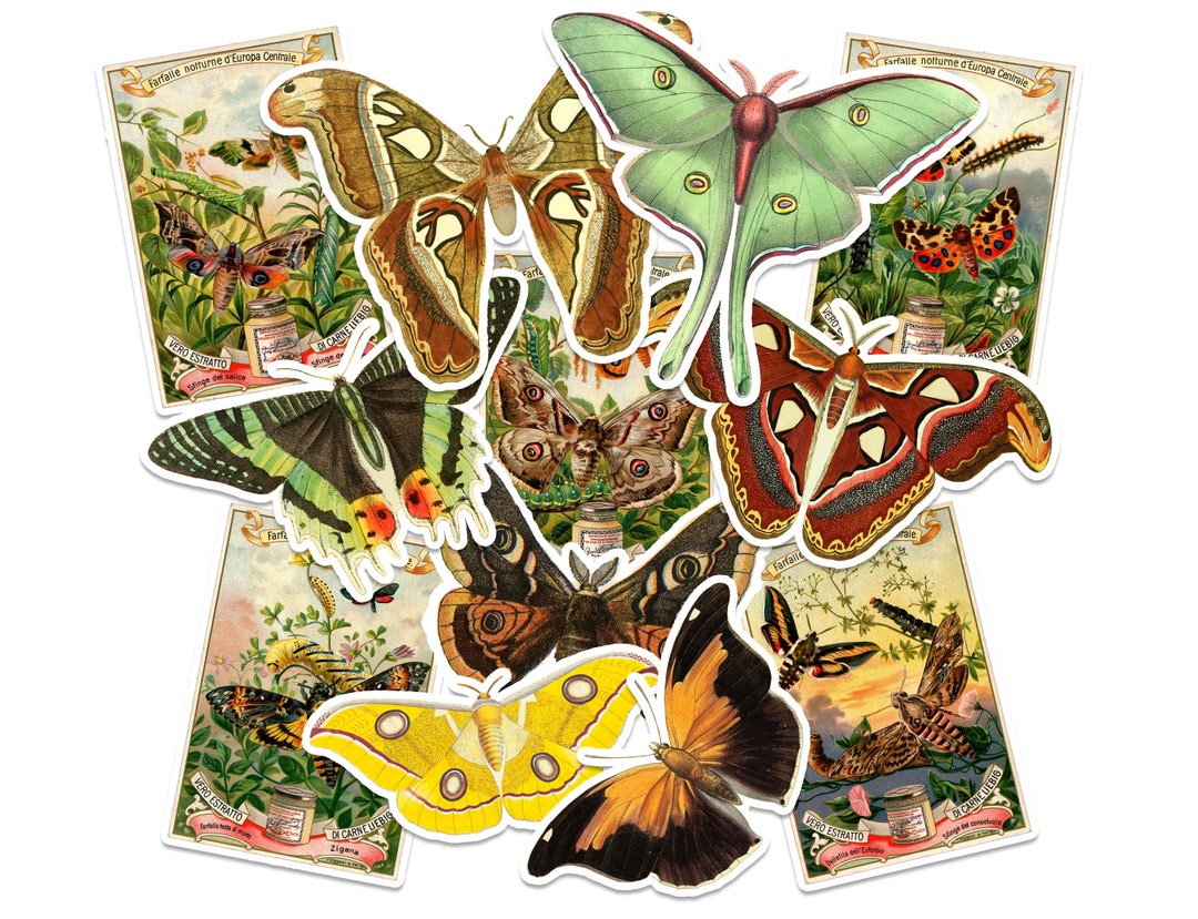Vintage Moth Stickers. Luna Moth Sticker, Junk Journal Supplies ...