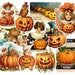 Vintage Pumpkin Stickers. Halloween Sticker Pack Handmade - Etsy