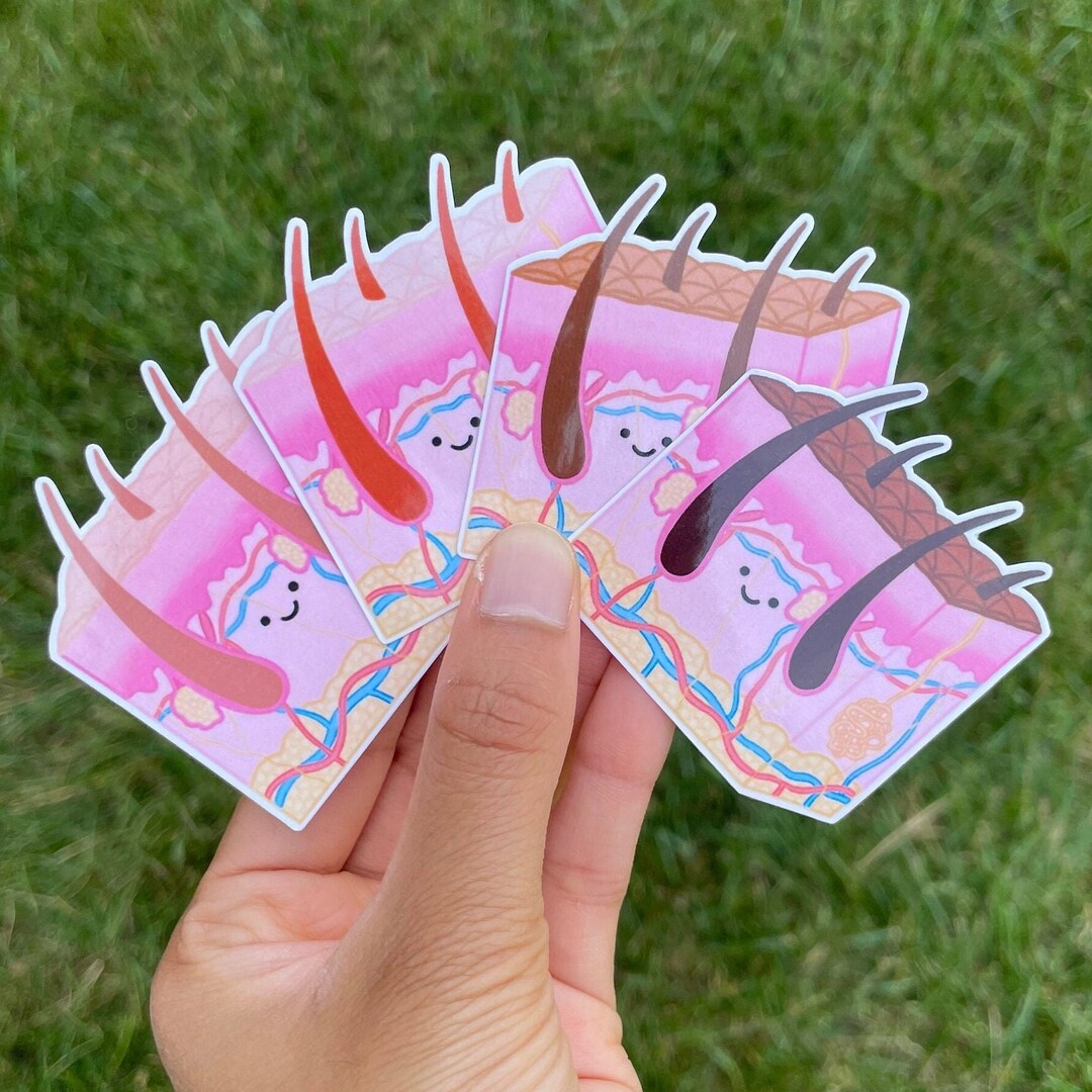 Dermatology Skin Sticker, Dermatologist Gift, Doctor Nurse Medical ...