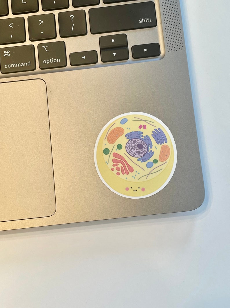 Cute Cell Biology Science Sticker Animal Cell Sticker - Etsy