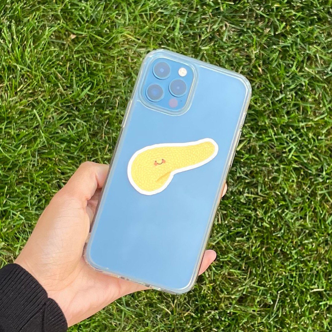 Cute Pancreas Organ Sticker, Gastrointestinal Medical Anatomy ...