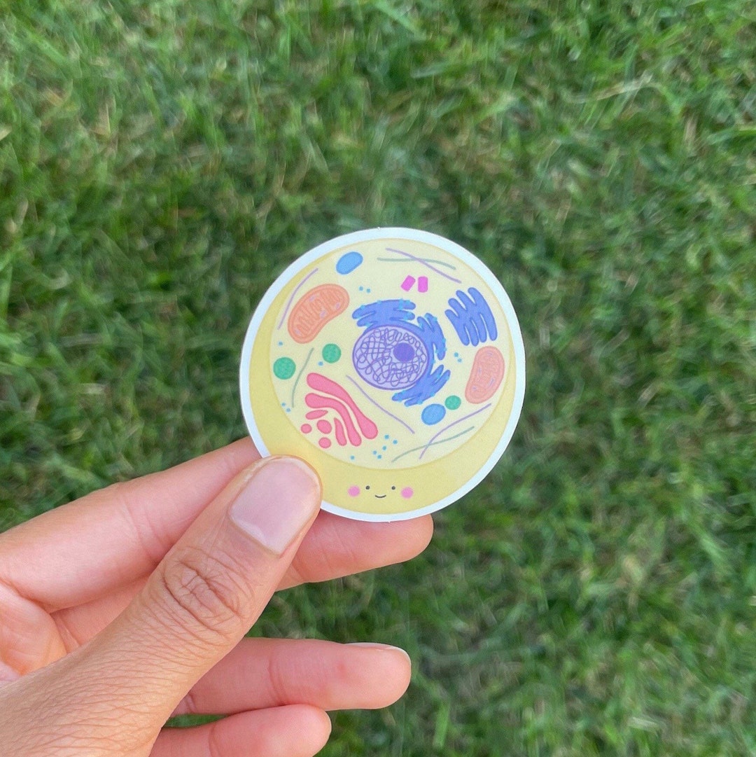 Cute Cell Biology Science Sticker, Animal Cell Sticker, Scientist ...