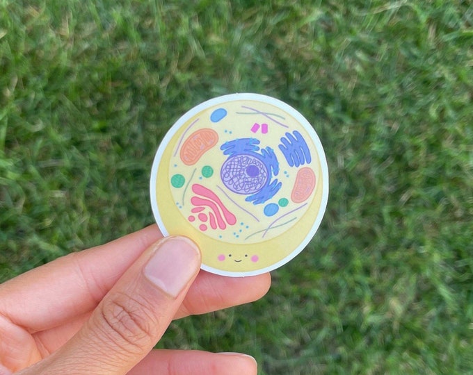 Cute Cell Culture Vinyl Sticker Sheet, Science Biology Stem Cells ...