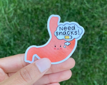 Labeled Digestive System Diagram Sticker Hand-drawn Anatomy Sticker GI ...