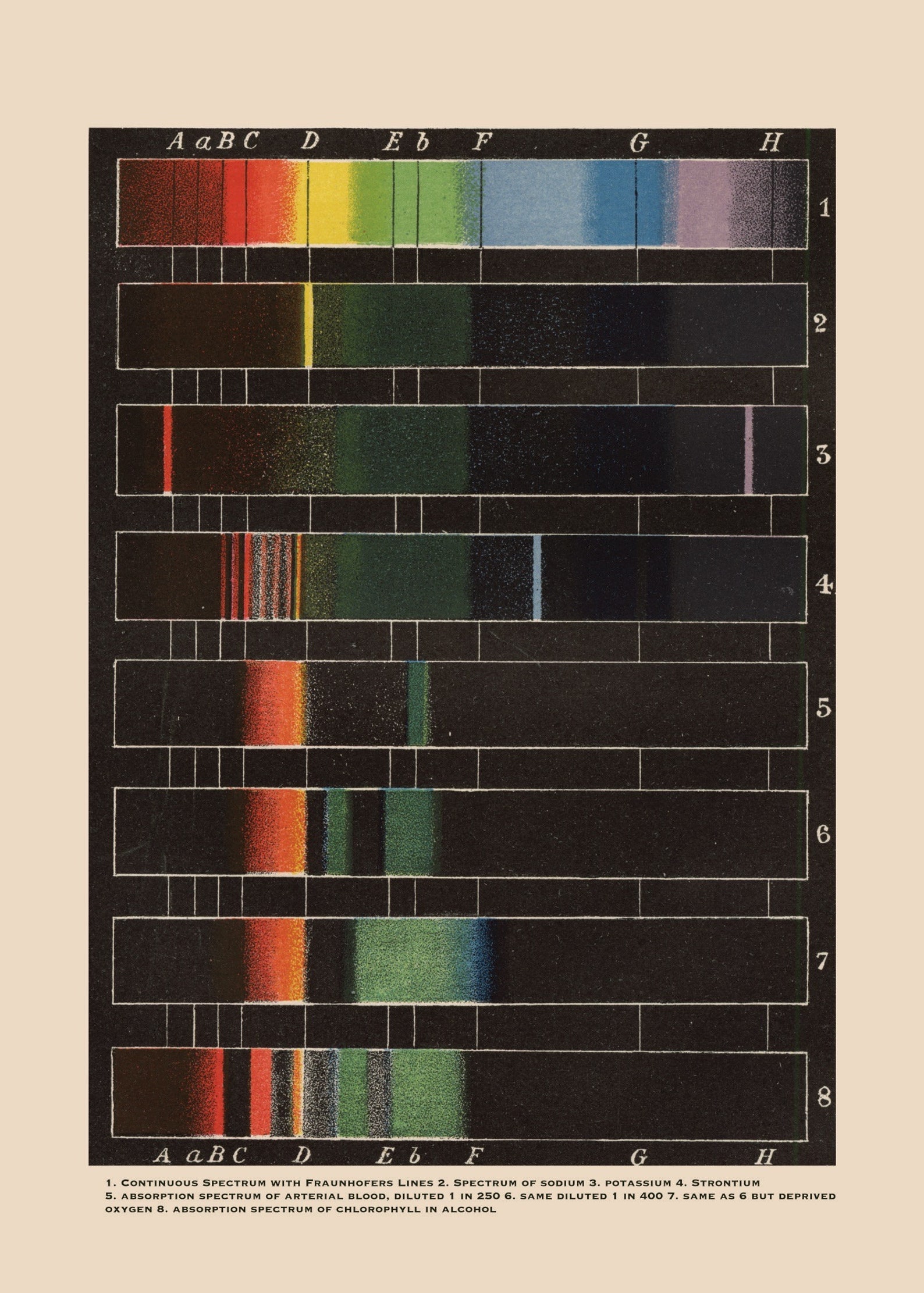 Spectrum Analysis Print - Antique Art Reproduction - Science ...
