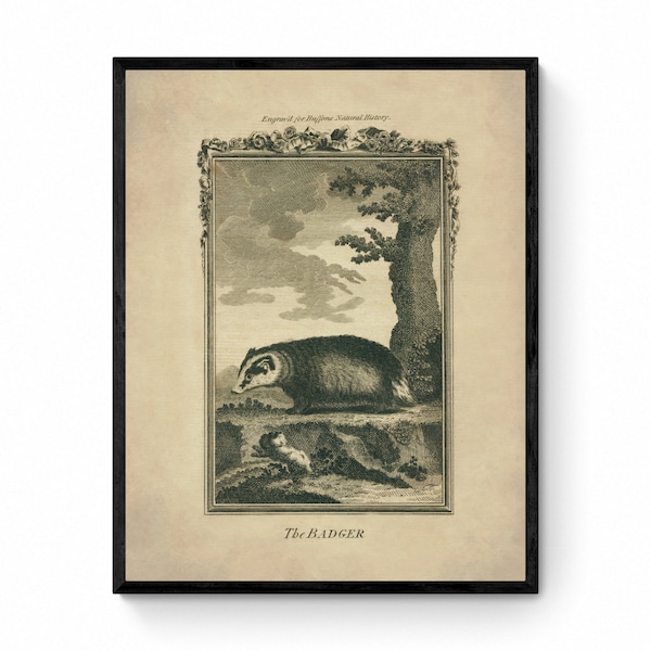 Badger Art - Etsy