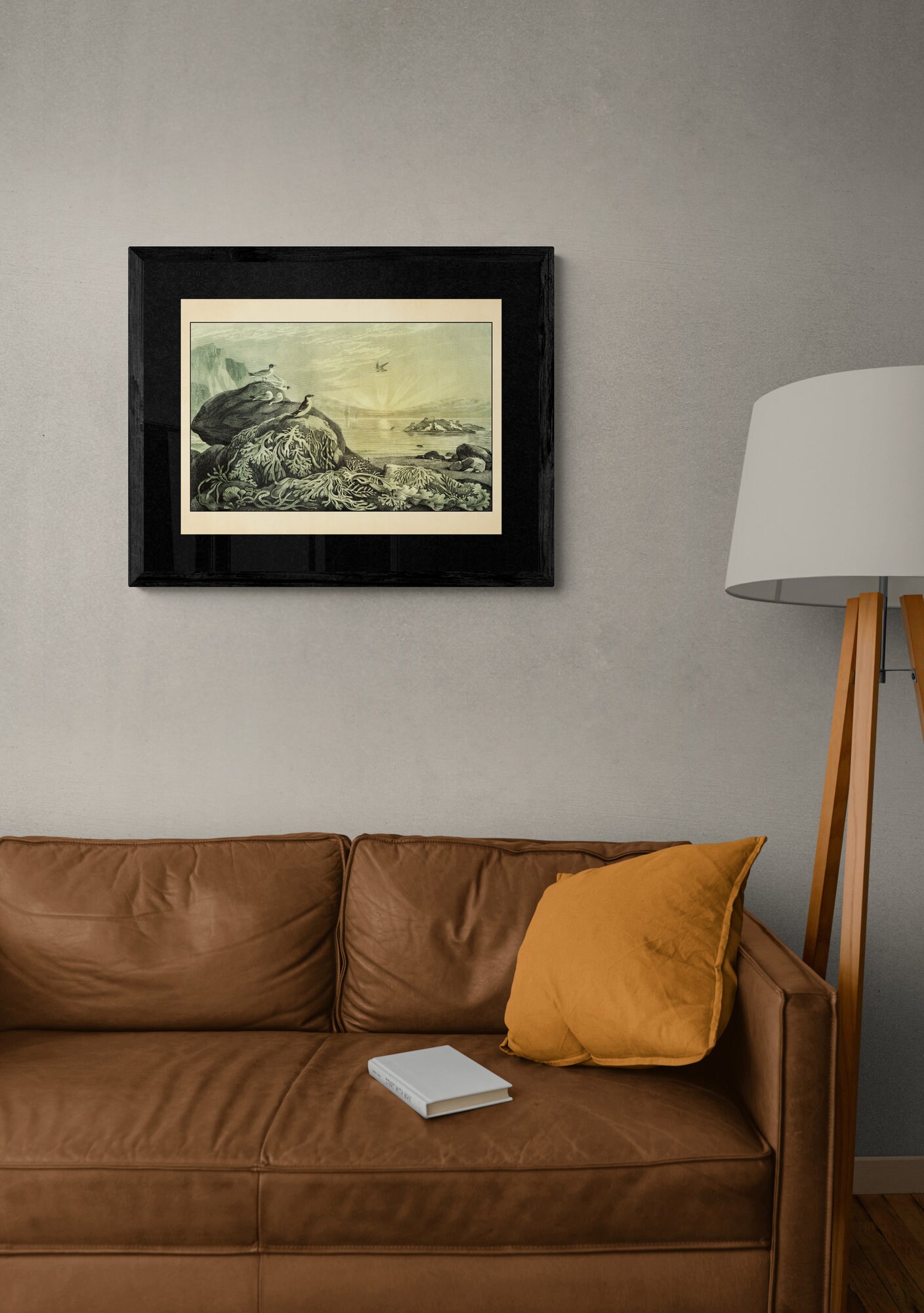 Seaweed - Marine Algae - Fucaceae Print - Antique Reproduction ...