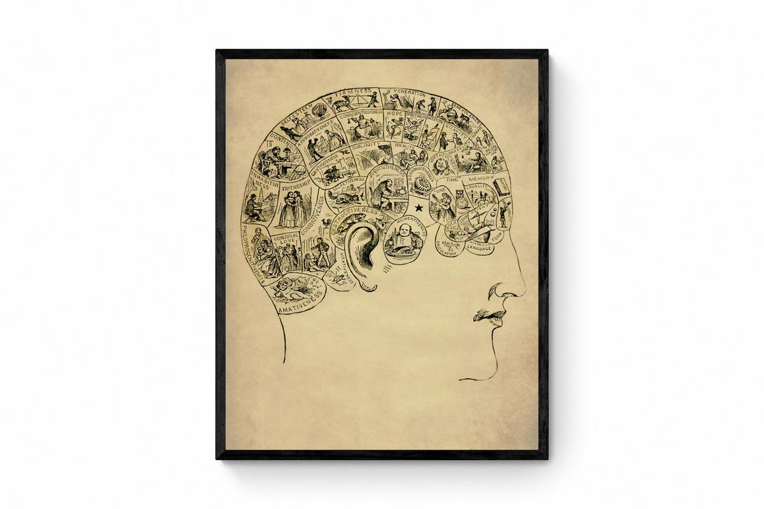 Phrenology Diagram Antique Reproduction - Psychology - Dated 1871 ...