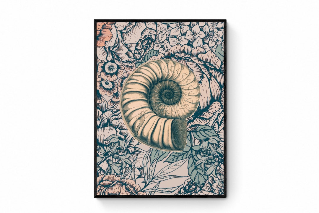 Retro Ammonite Print - Antique Art Reproduction - Surreal Antique ...