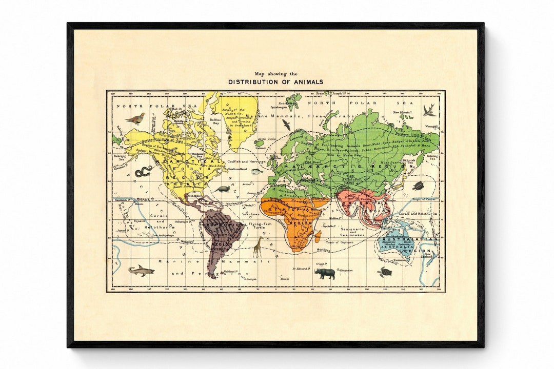 Zoological World Map Showing the Distribution of Animals - Antique ...