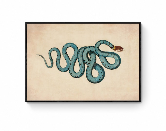 Garden Snake Block Print of Snake With Flowers - Etsy
