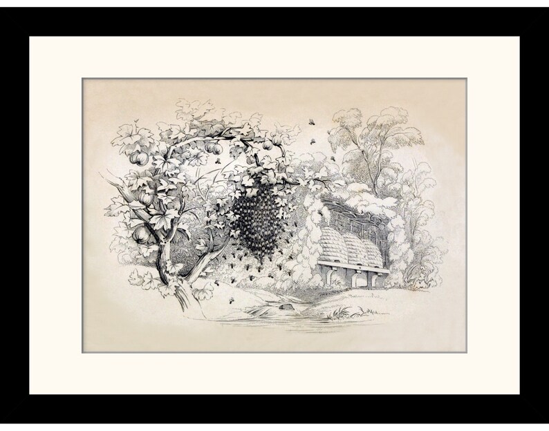 Swarming Bees Print - Antique Reproduction - Honey Bee - Apiary ...