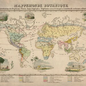 Botanical World Map - Antique Reproduction - Dated 1858 - Botany ...
