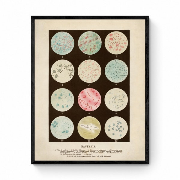 Science Poster - Etsy