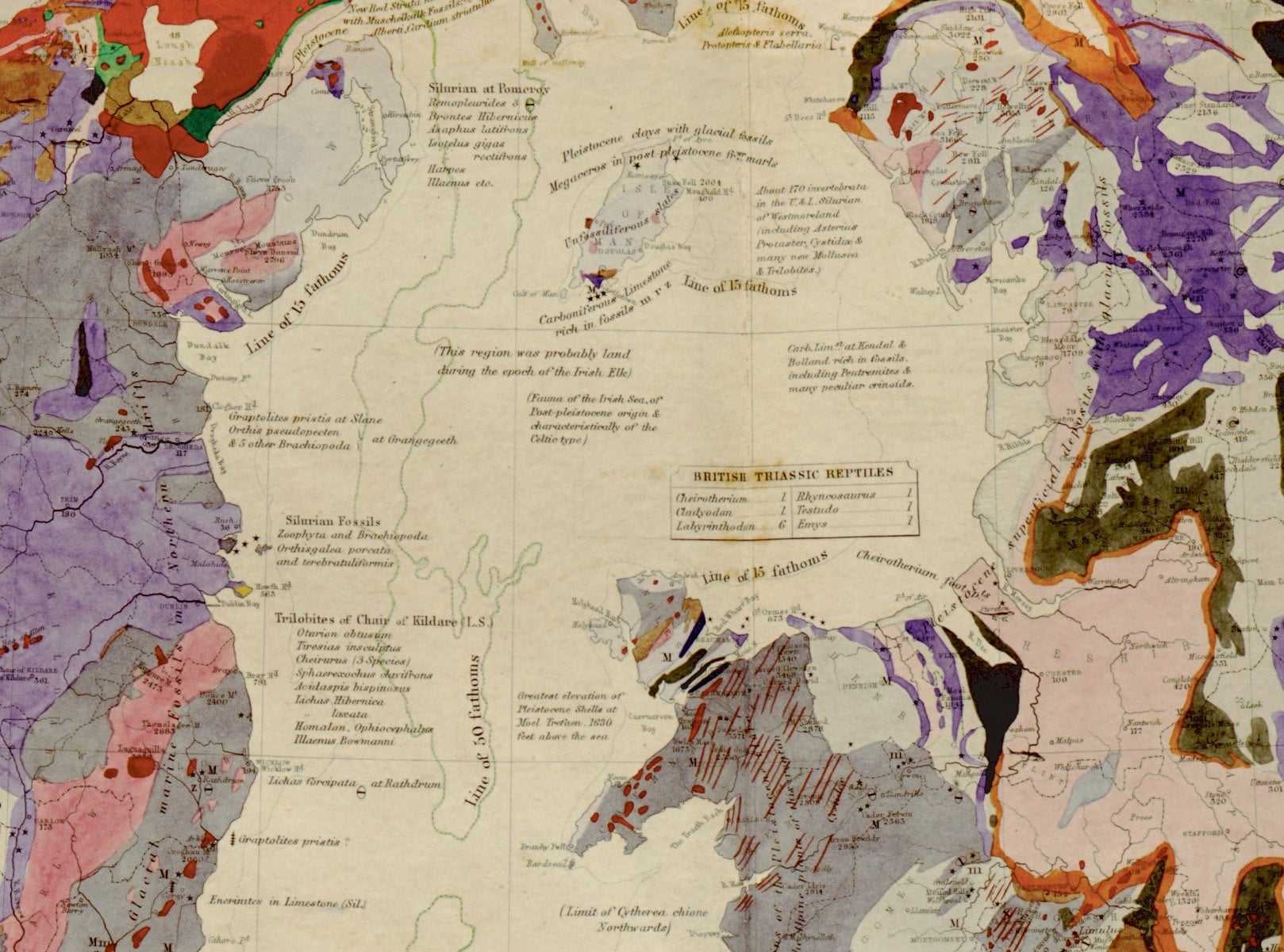 Palaeontological Map of the British Islands Antique Reproduction ...