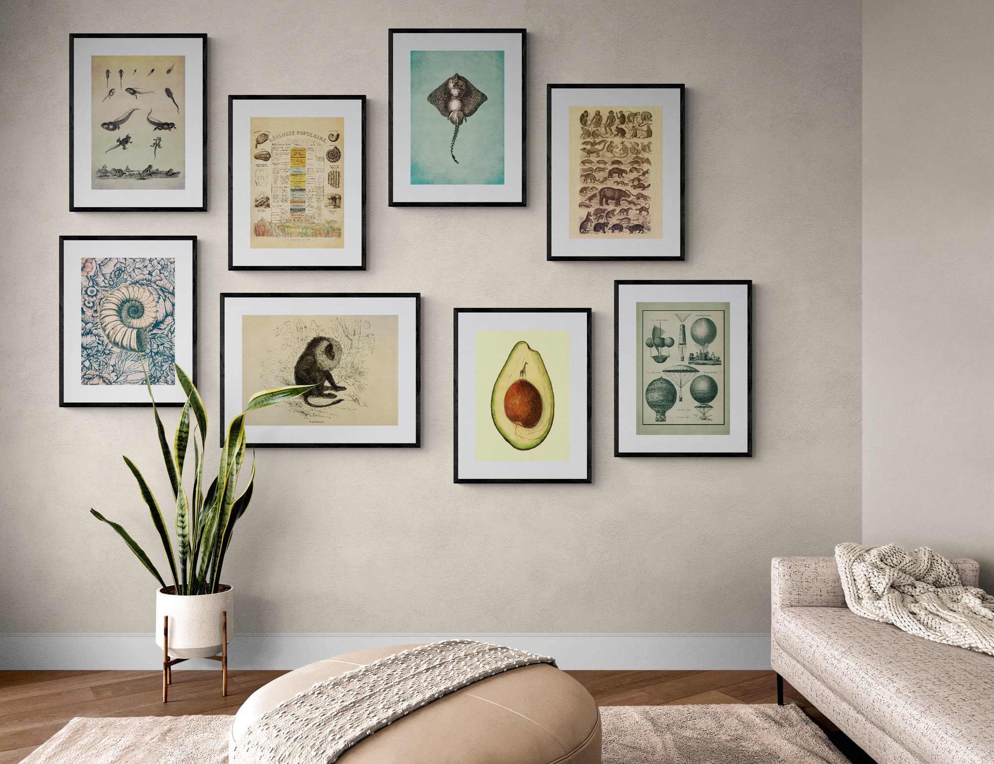 Geology and Palaentology Poster - Antique Art Reproduction - French ...