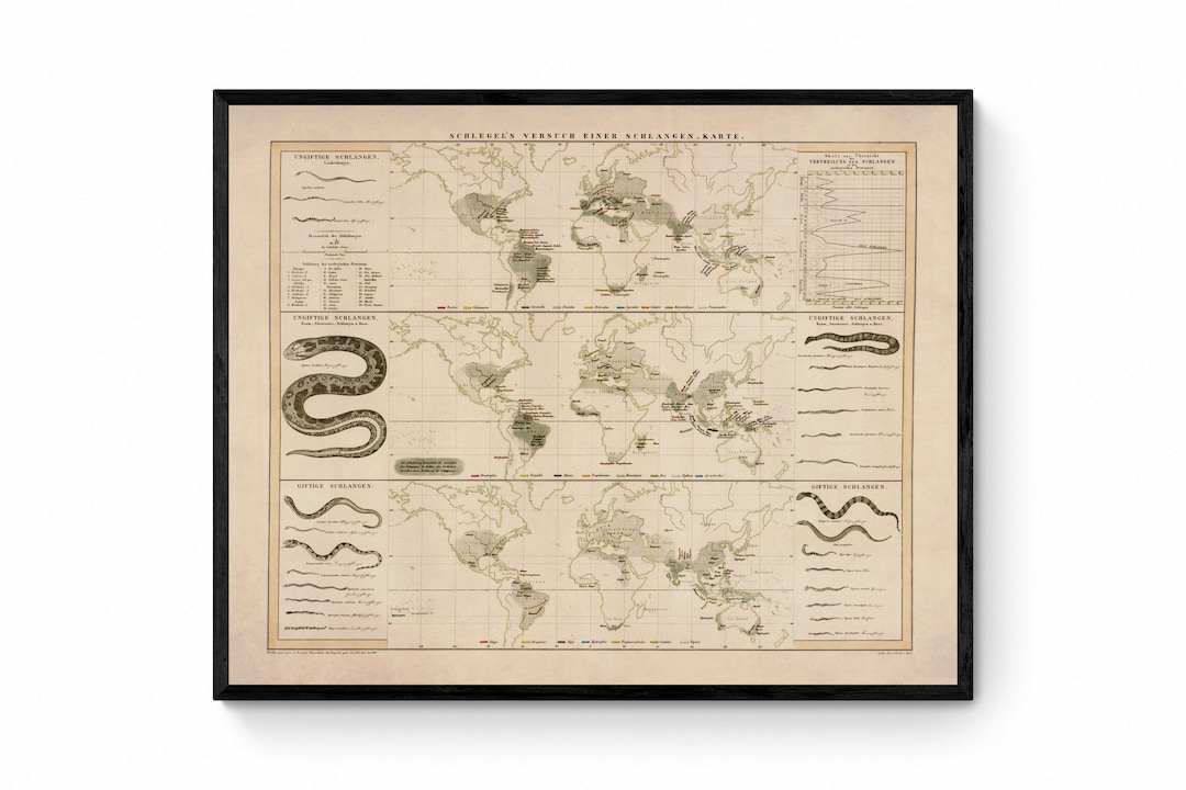 Snakes of the World Map Dated C.1845 - Antique Reproduction ...