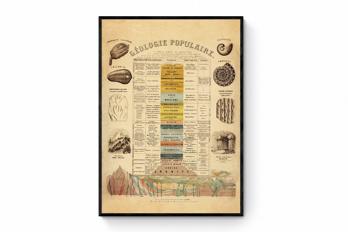 Geology and Palaentology Poster - Antique Art Reproduction - French ...