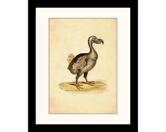 Dodo Bird Print | Etsy