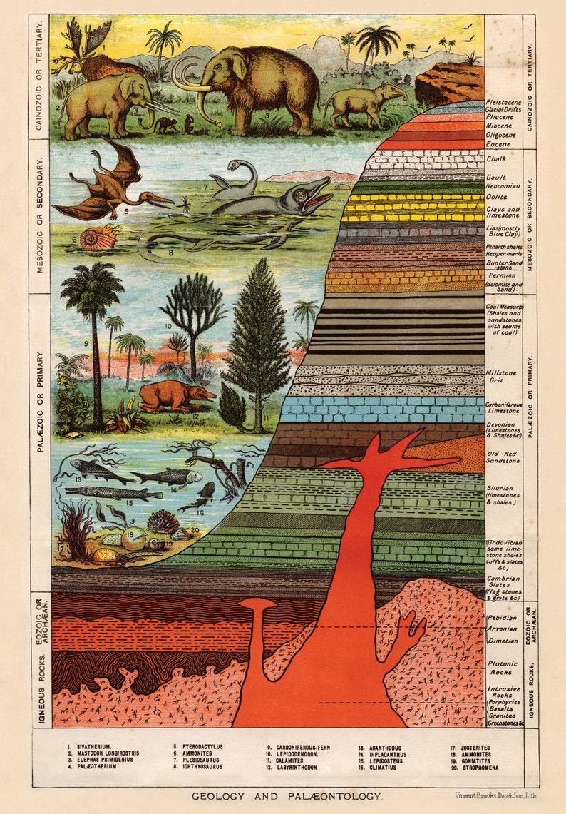 Geology Diagram 1000 Piece Jigsaw Puzzle Matt Finish Educational ...