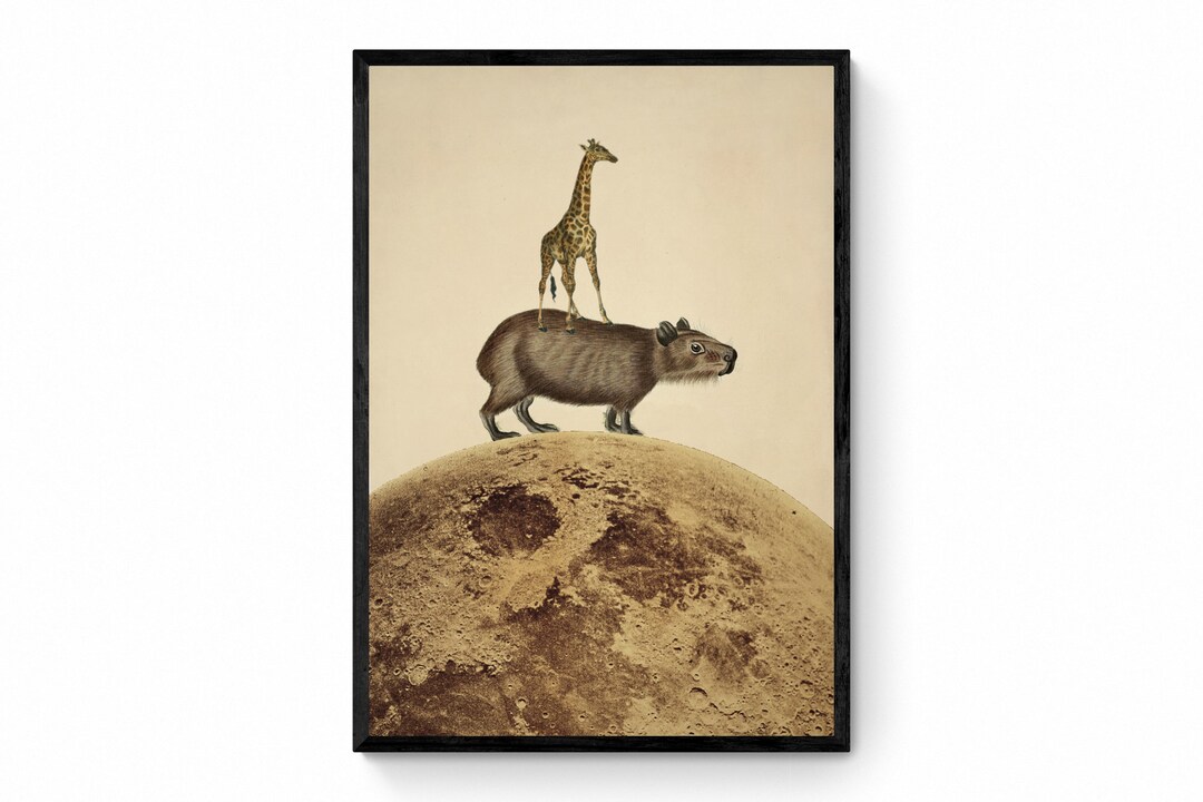 Giraffe Capybara Moon Collage Print - Antique Reproduction - Available ...