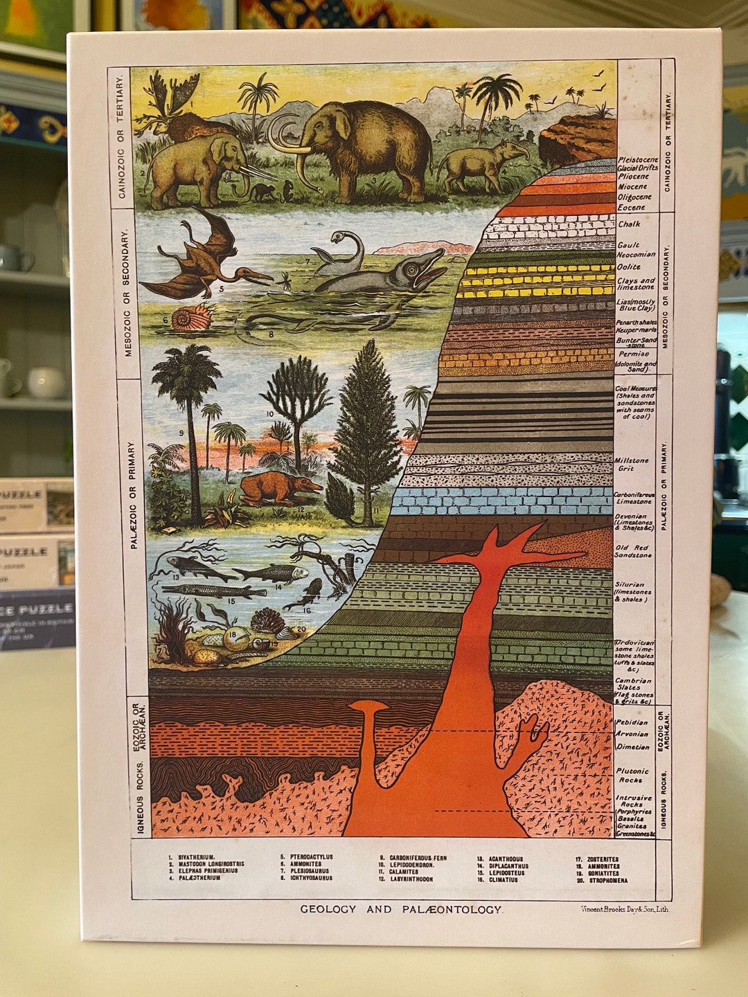 Geology Diagram 1000 Piece Jigsaw Puzzle Matt Finish Educational ...